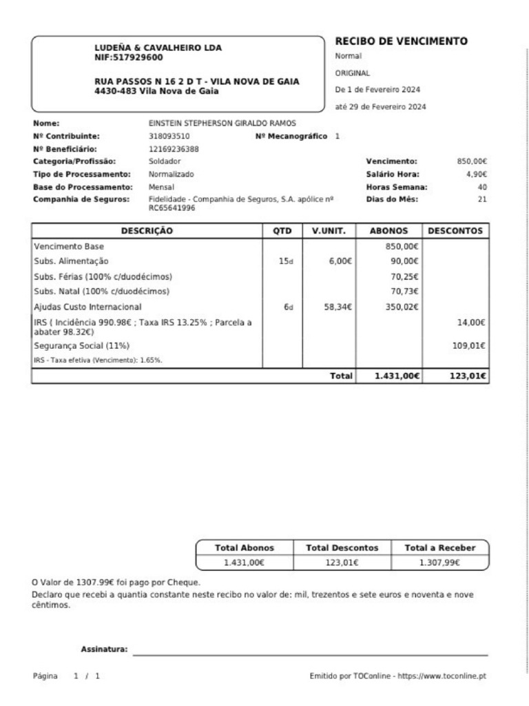 Holerite Einstein Stepherson | PDF