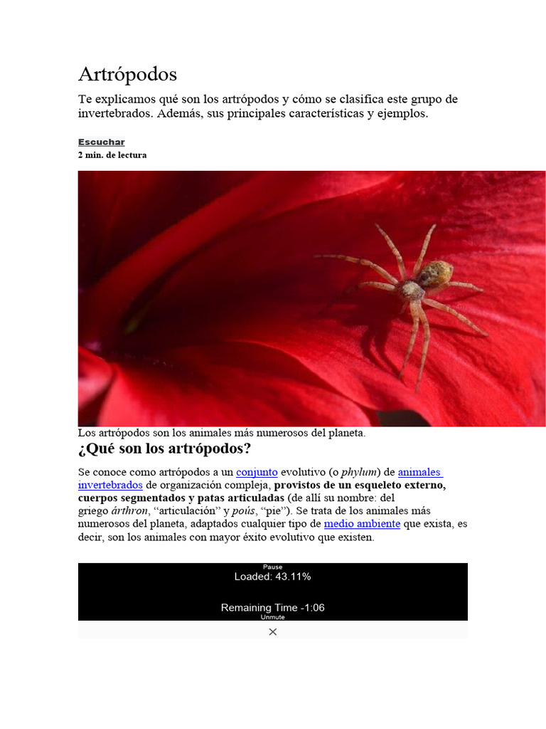 Artrópodos: Clasificación y Ejemplos | PDF | Insectos | Artrópodos