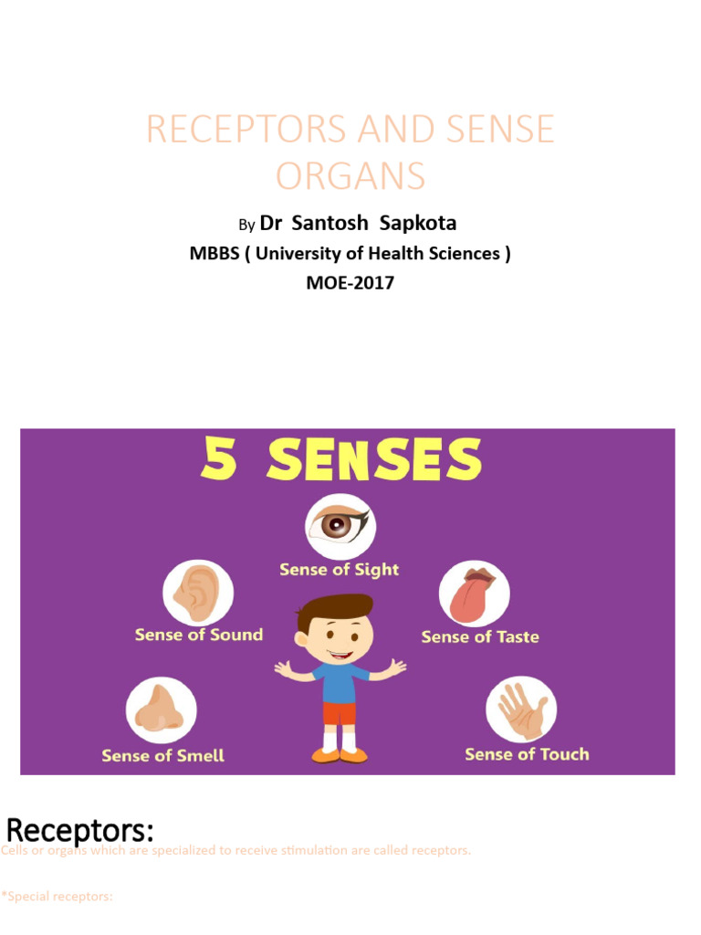 Receptors and Sense Organs | PDF | Ear | Retina