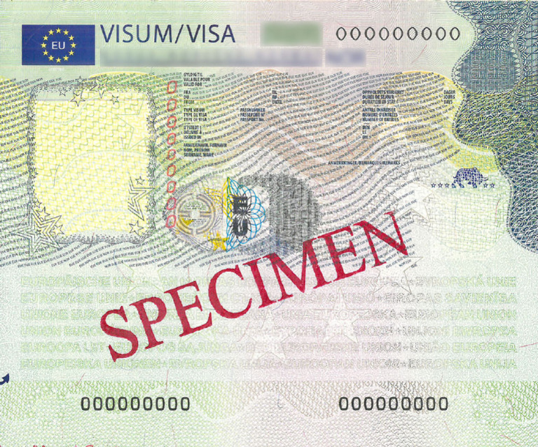 visa simple 1 | PDF