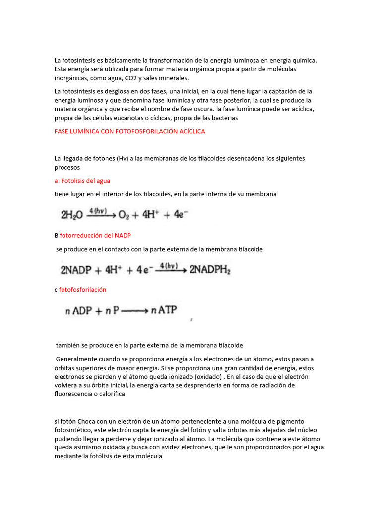 La Fotosíntesis Es Básicamente La Transformación de La Energía Luminosa ...