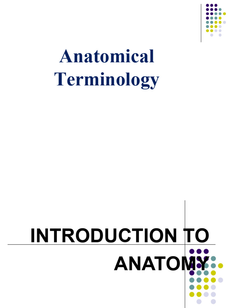 Anatomical Terminology | PDF | Anatomical Terms Of Motion | Anatomical Terms Of Location
