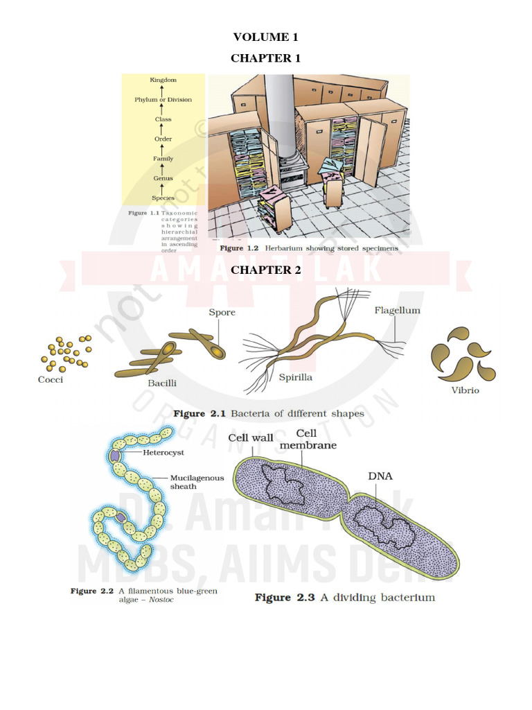 All NCERT Bio Diagrams Compiled | PDF