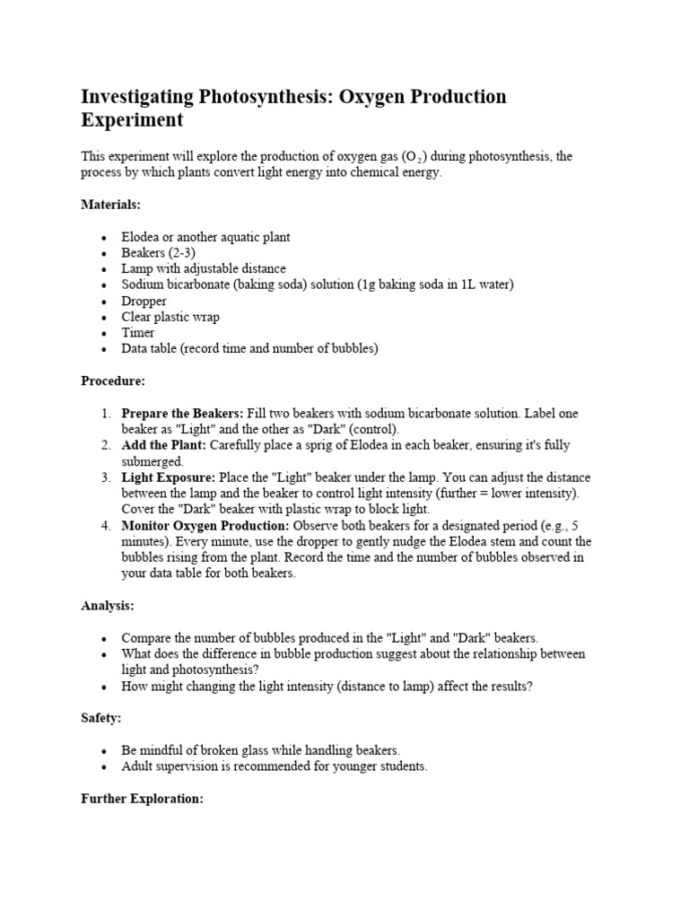 Investigating Photosynthesis | PDF | Home & Garden
