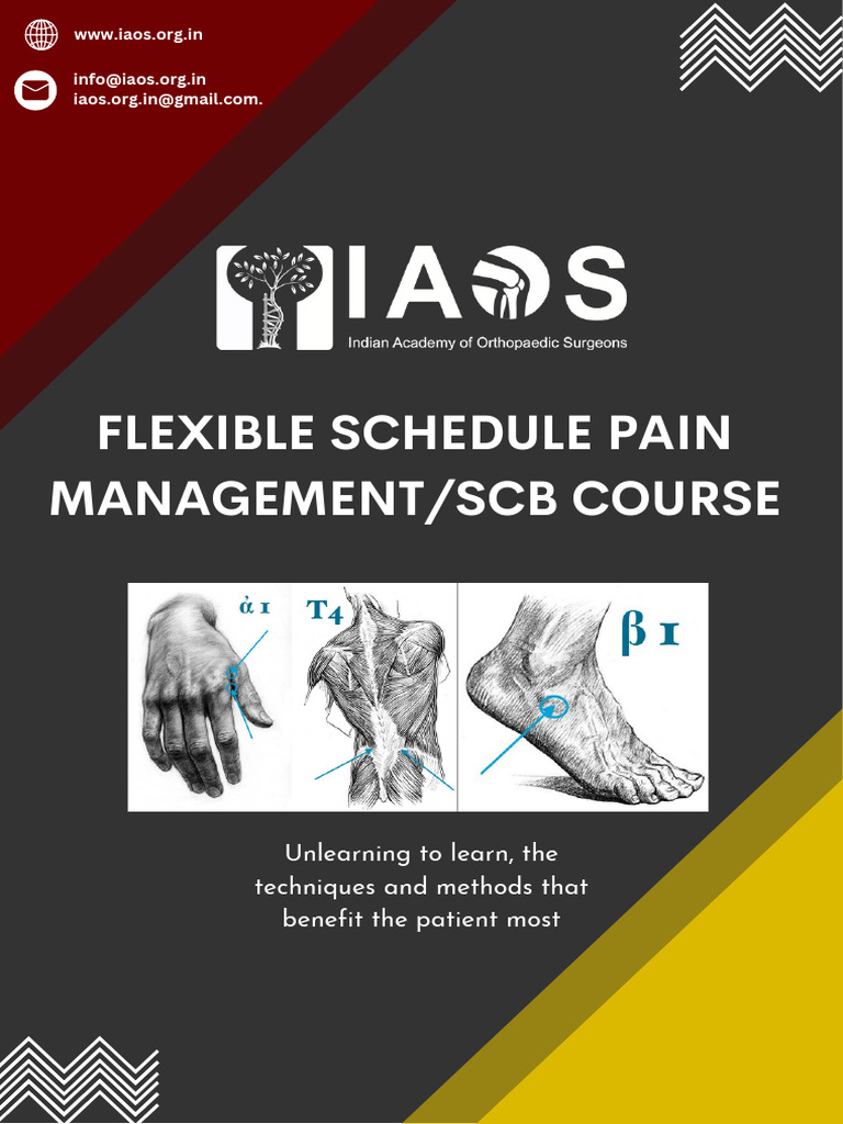 Pain Portal Course | PDF | Lecture | Health Care
