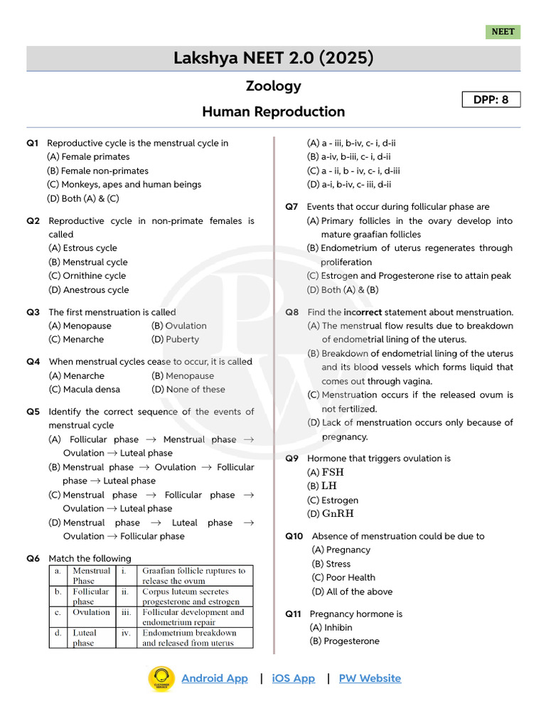 Human Reproduction DPP 08 | PDF | Menstrual Cycle | Luteinizing Hormone