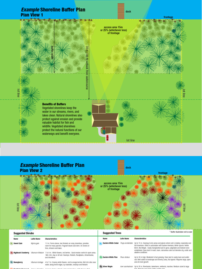 Example Shoreline Buffer Plan Nov30 2010 | PDF | Trees | Botany