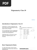 Mathematics Grade 10 Trigonometry Notes | PDF