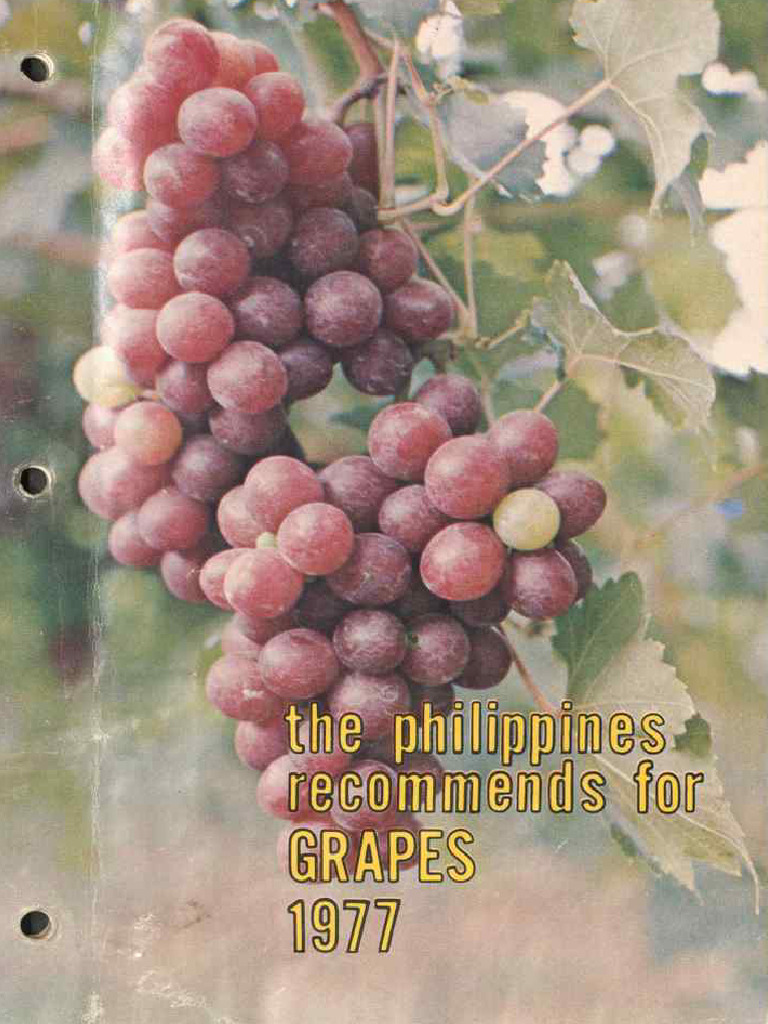 GRAPES | PDF