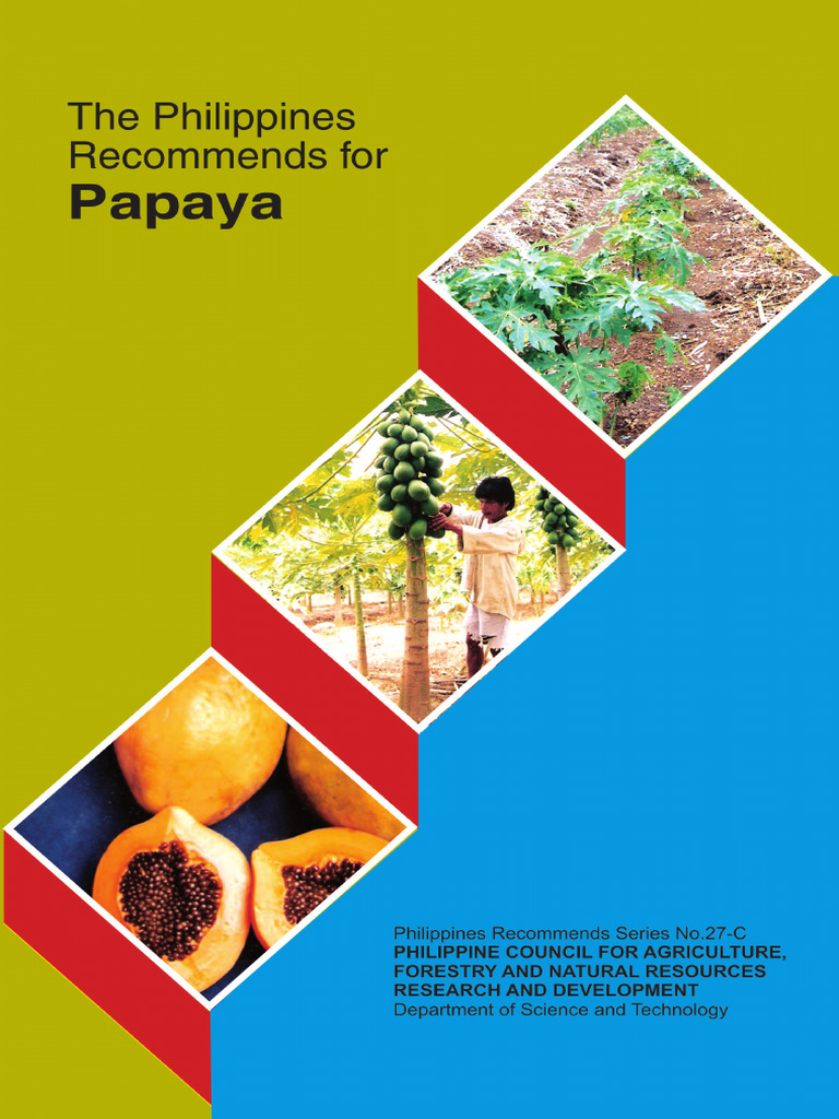 PAPAYA | PDF | Fertilizer | Crop Rotation