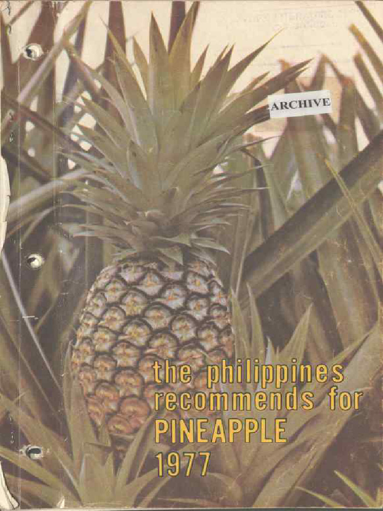 PINEAPPLE | PDF