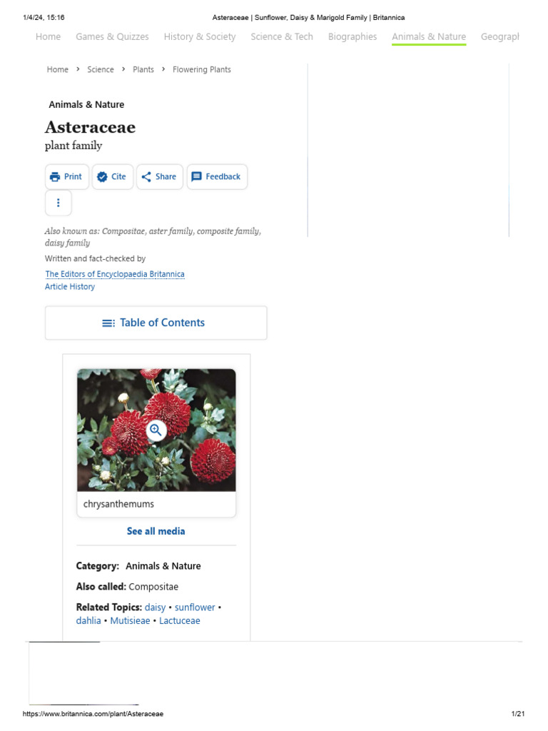 Asteraceae - Sunflower, Daisy & Marigold Family - Britannica | PDF | Flowers | Petal