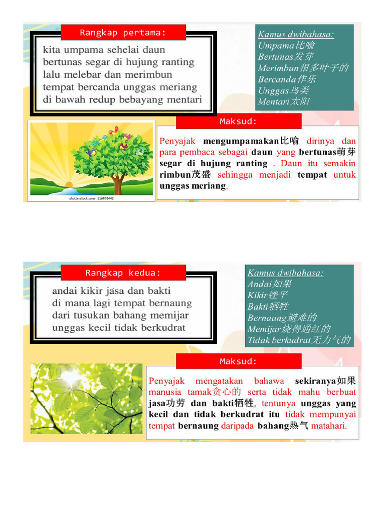 Kita Umpama Sehelai Daun | PDF