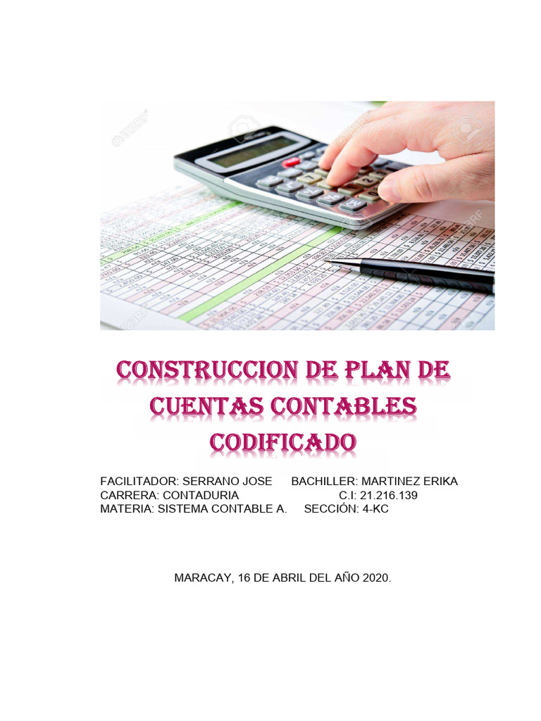Construccion de Plan de Cuentas Contables Codificado Sistema Contable Automatizado | Descargar ...