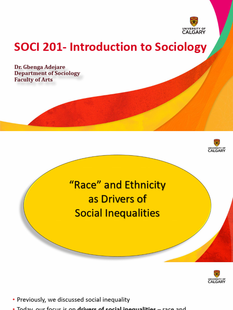 Module 8 - Race and Ethnicity | PDF | Race (Human Categorization ...
