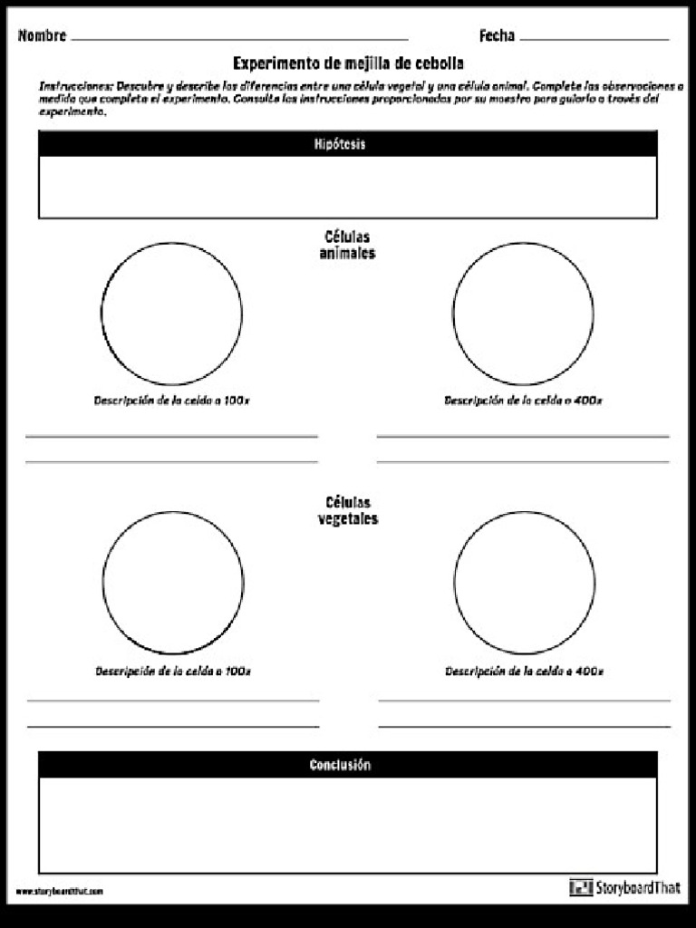 Cuadernillo de Repaso | PDF