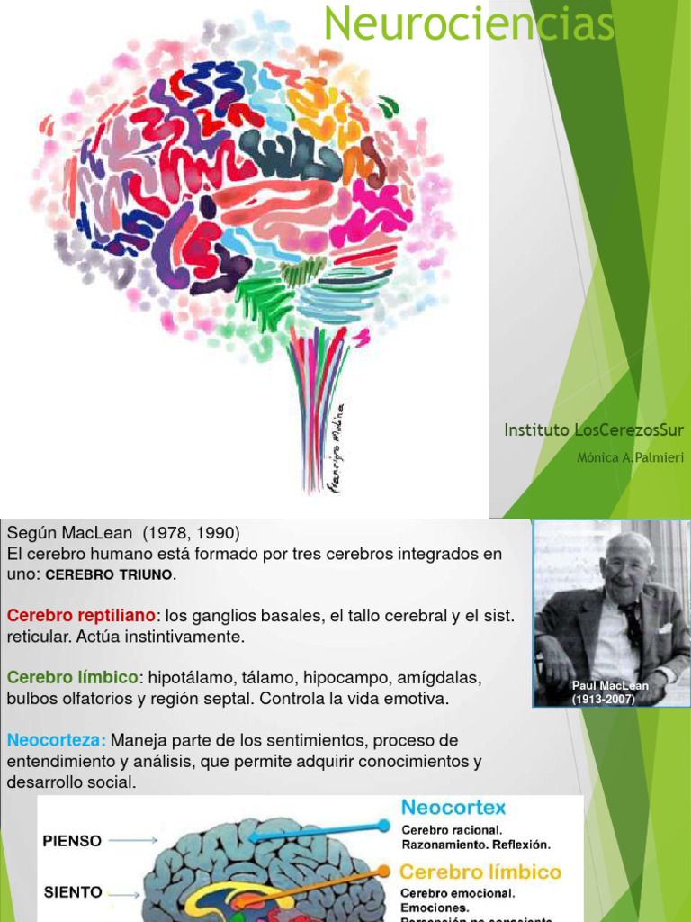 Emociones Pdf Las Emociones Cerebro