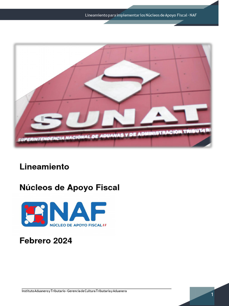 Lineamiento NAF 2024 | PDF | aduana | Educación más alta
