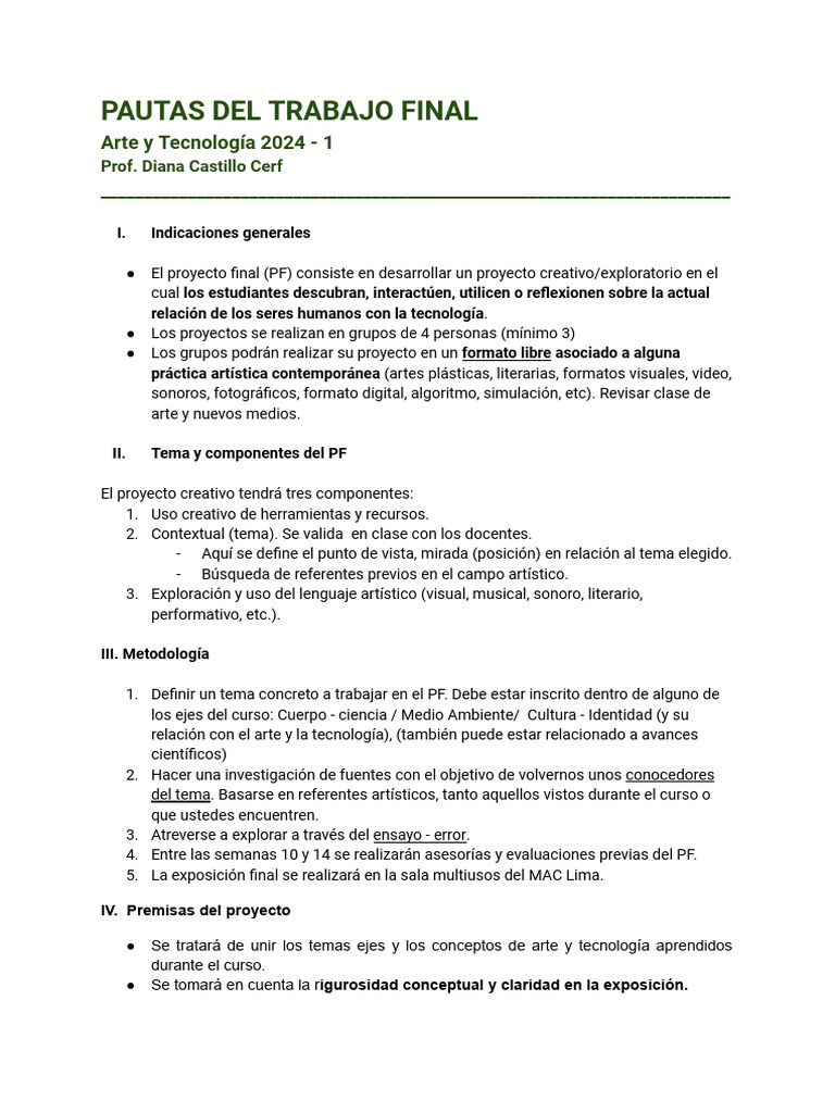 C3 y Pautas Del Proyecto Final - 2024-1 | PDF | Science