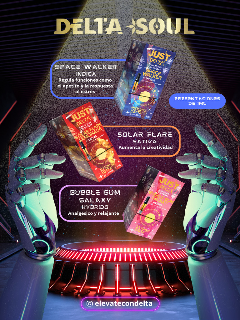 Delta Soul-Flyer | PDF