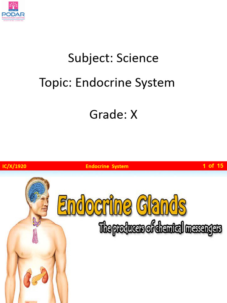 ICSE - X - Bio - Endocrine System - 1 | PDF | Endocrine System | Hormone