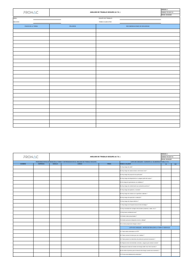 Formato Ats Pronac | PDF