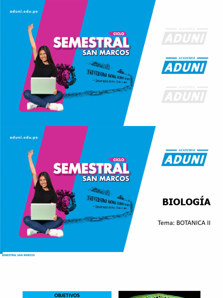 SSM-TS012-BI1-Botánica II | PDF | Tallo de la planta | Raíz