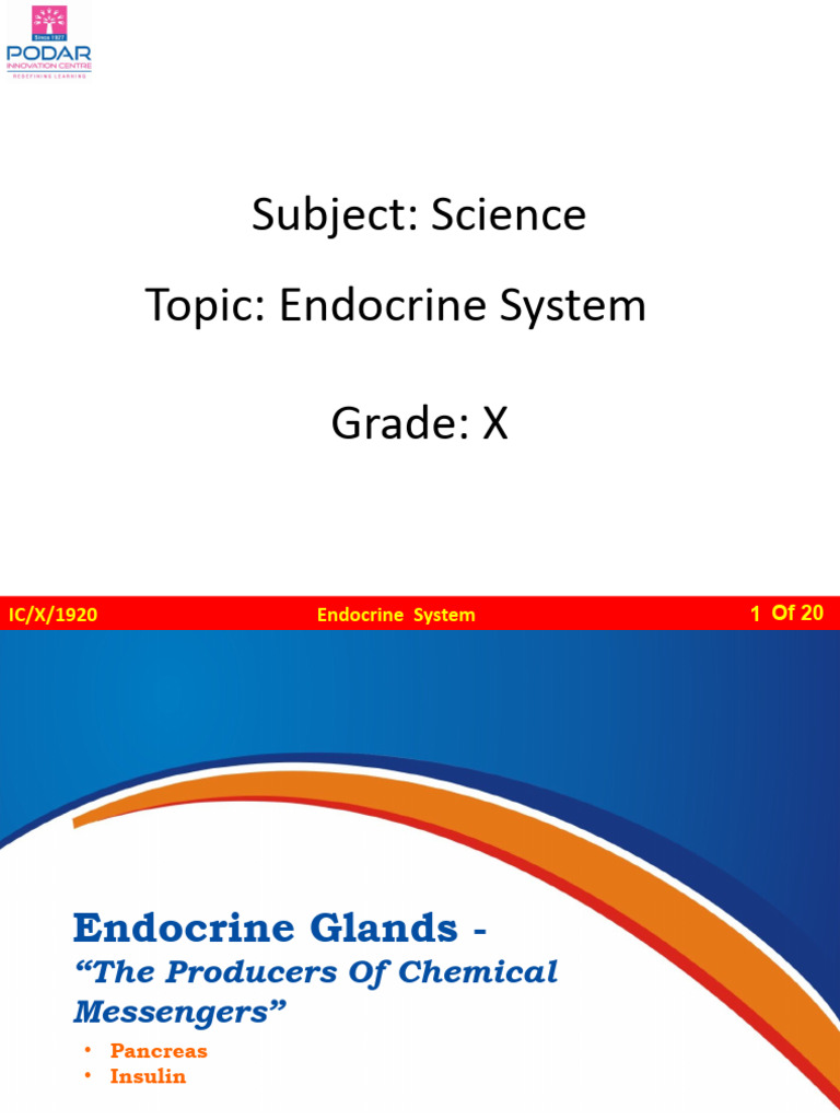 ICSE_X_Bio_Endocrine System_3 | PDF | Pancreas | Endocrine System