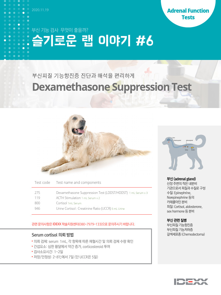 Dexamethasone Suppression Test KR | PDF
