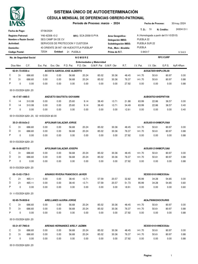 Cedula Diferencias IMSS | PDF | Servicios públicos | Seguridad Social