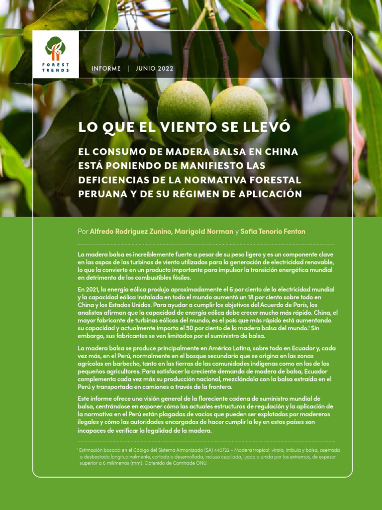Balsa Report SPANISH | PDF | Los bosques | Perú