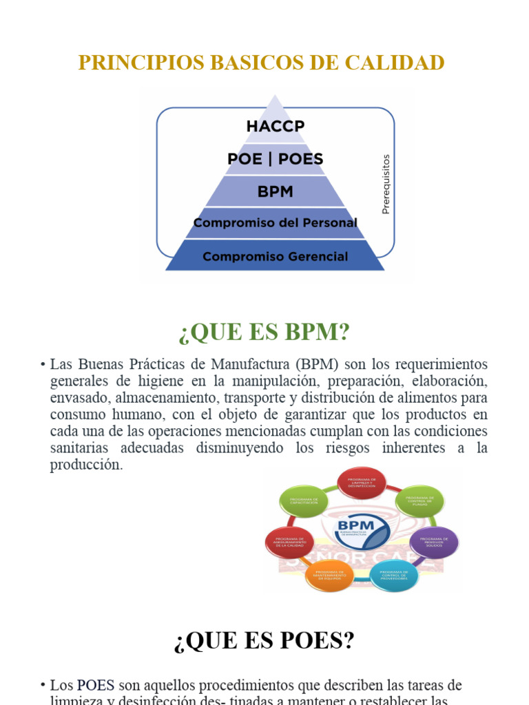 Principios Basicos de Calidad - Ing Bryan Cerna | PDF | Análisis de ...