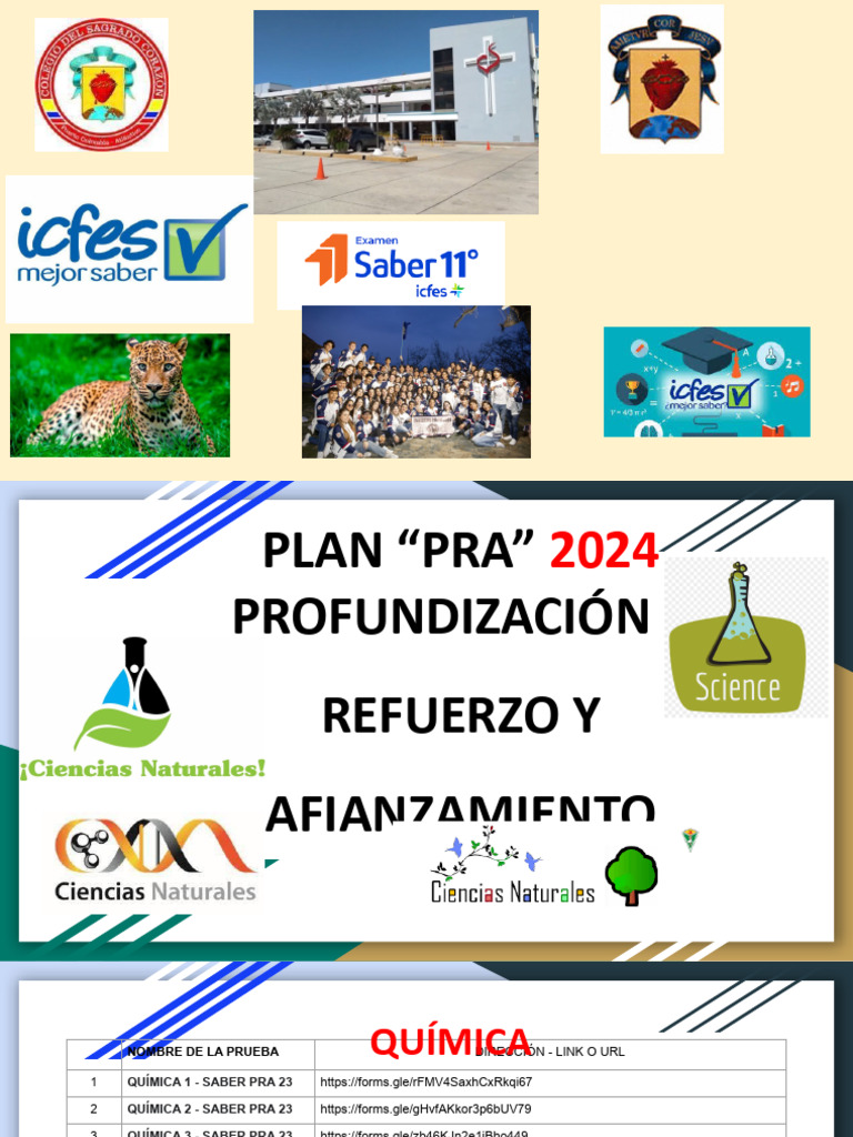 Plan Pra 2024 | PDF | Business