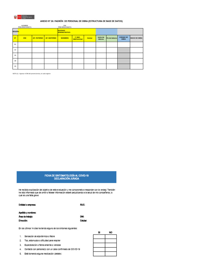 Anexo 26 y Otros Formularios | PDF | Lavado de manos | Enfermedades y ...