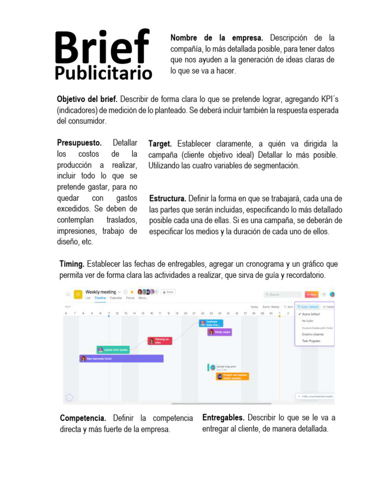 Brief Publicitario - PLANTILLA | PDF
