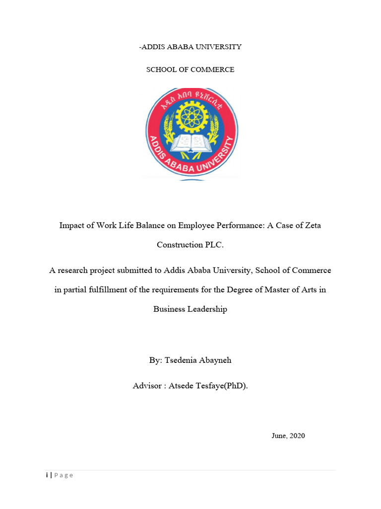 Tsedenia Abayneh | PDF | Employment | Analysis Of Variance