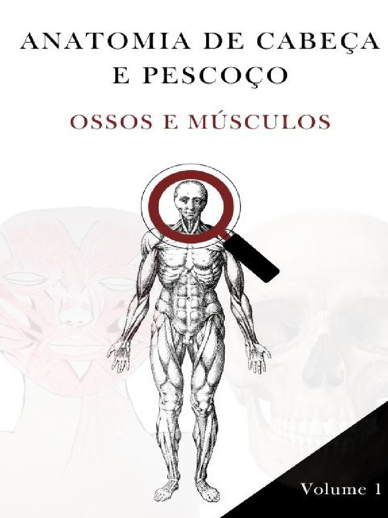 Anatomia de Cabeça e Pescoço: Volume 1 | PDF | Orelha | Coração