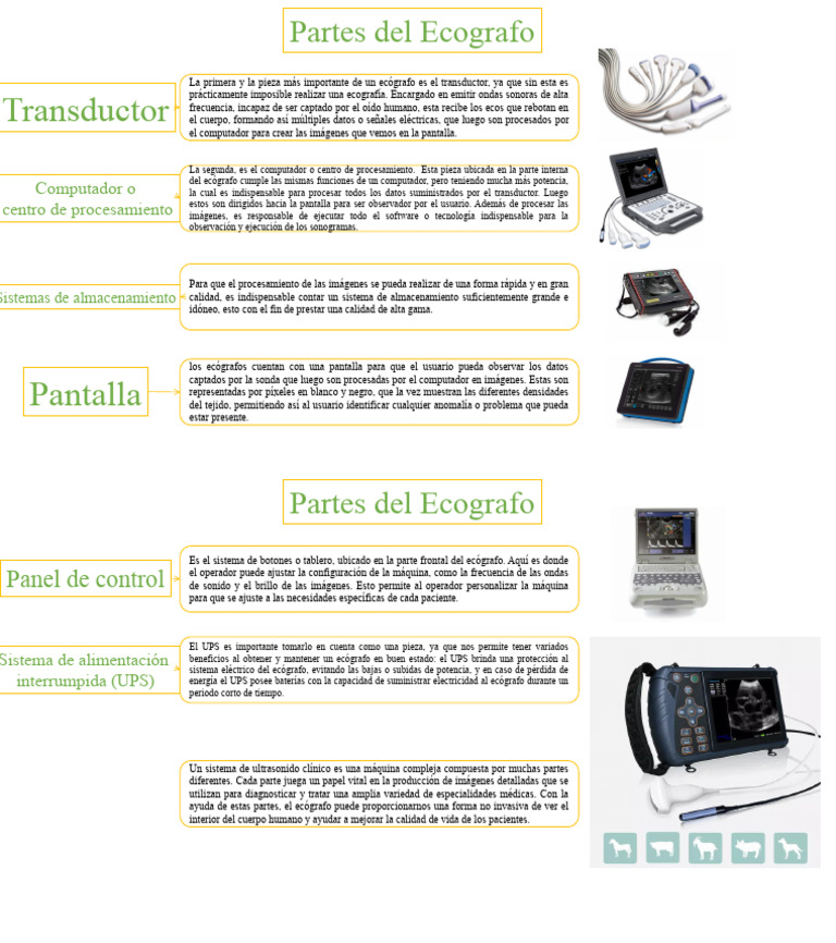 Ecografo y Sus Componentes | PDF | Ultrasonido | Ingeniería Informática