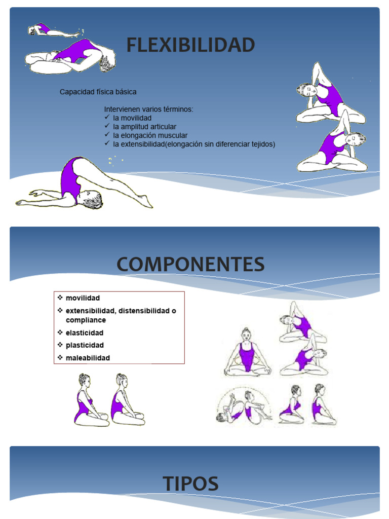 PRESENTACION FLEXIBILIDAD | PDF | Flexibilidad (anatomía) | Músculo