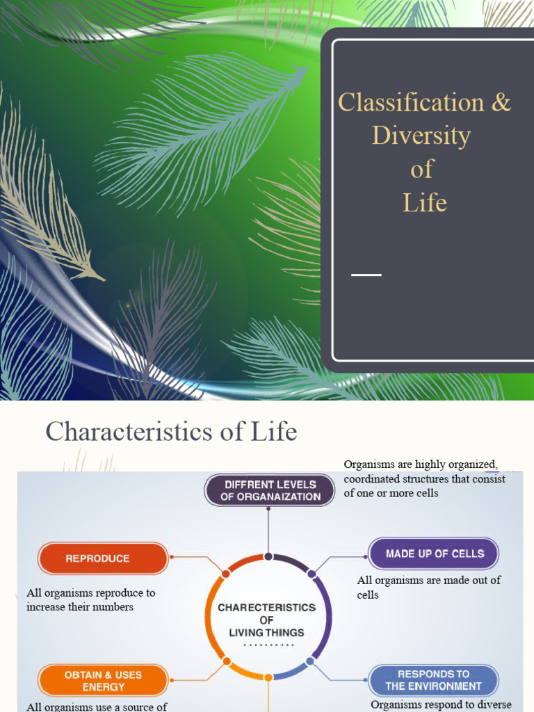 Classification & Diversity of Life | PDF | Life | Taxonomy (Biology)