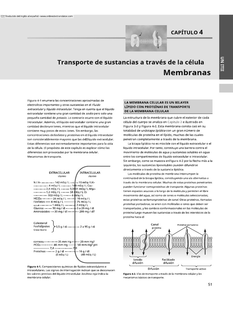 Fisiologia Medica 14 Edicion Guyton y Hall | PDF