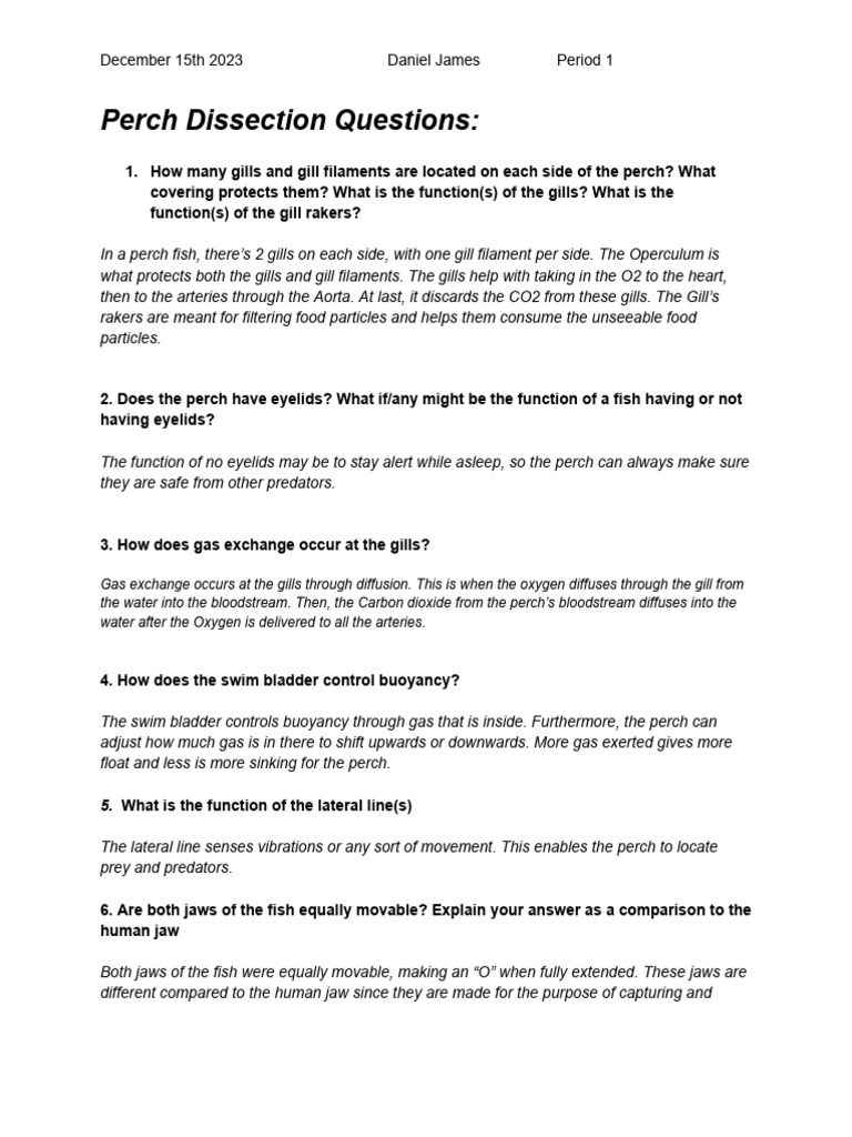 Perch Dissection Questions II SNC2DP IISt. Edmund Campion Secondary ...