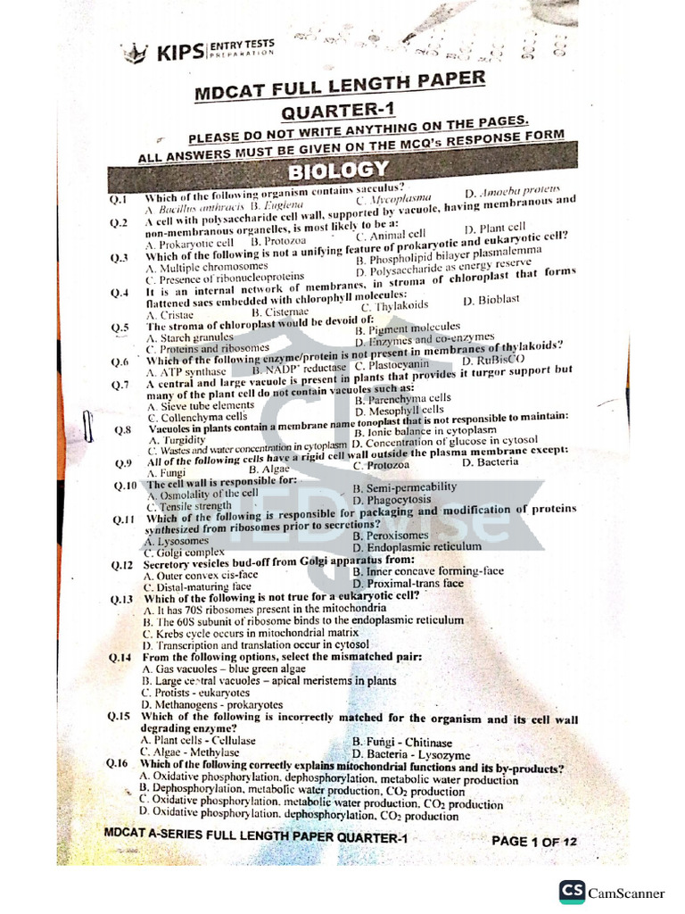 KIPS QUARTERS A SERIES MEDwise 2023 | PDF