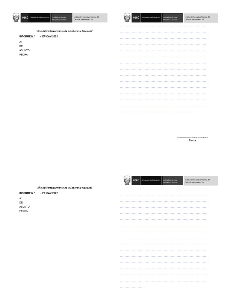 Formato Informe 2022 | PDF