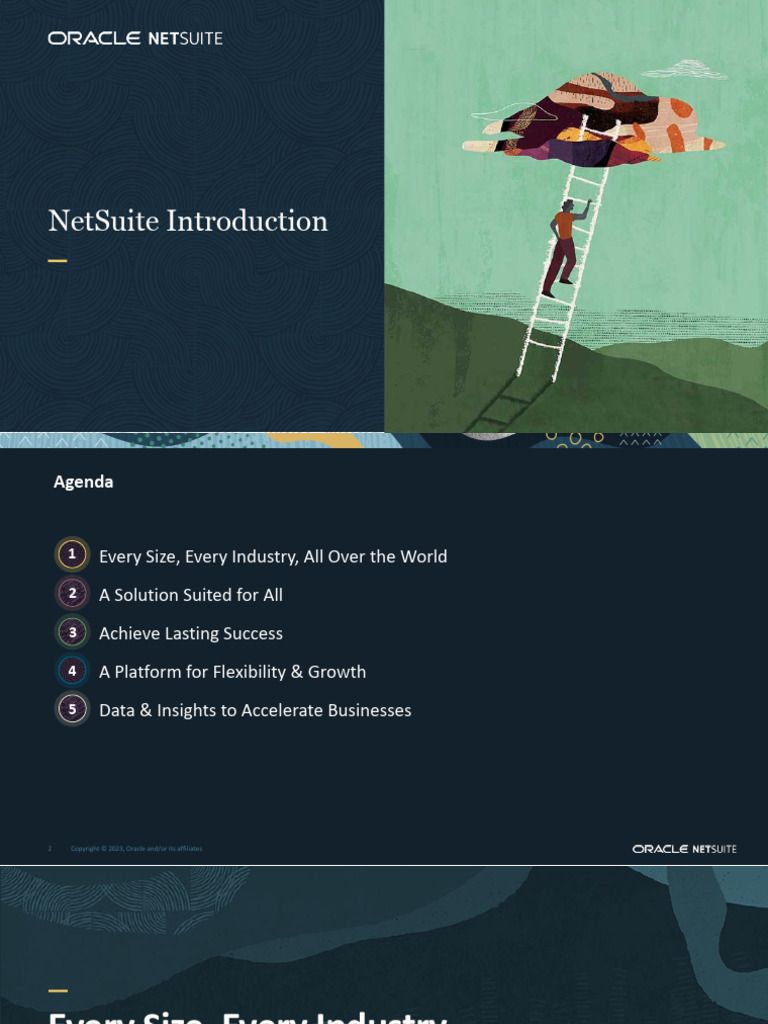 NetSuite ERP | PDF | Enterprise Resource Planning | Revenue