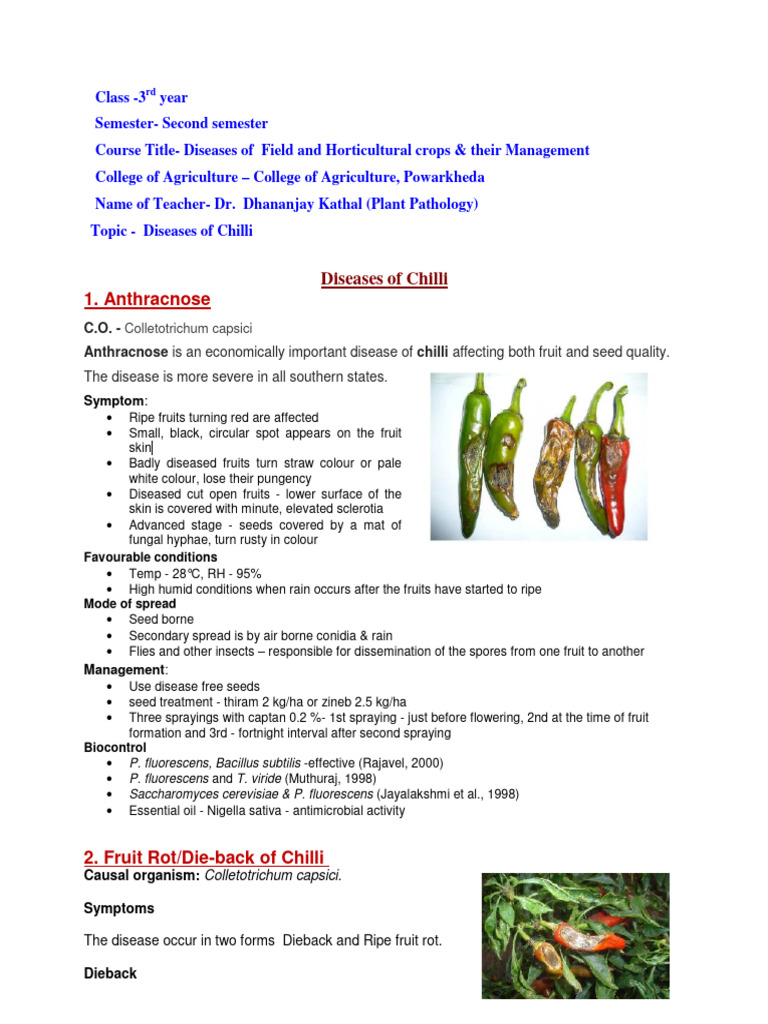 3diseases of Chilli Crop | PDF | Botany | Organisms