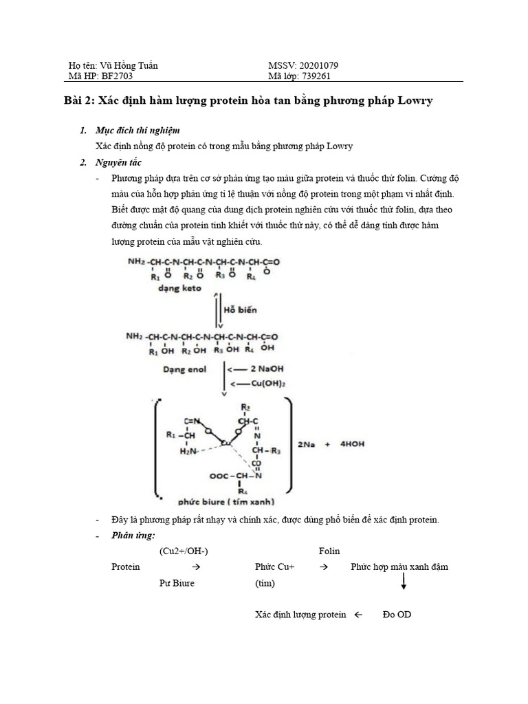 Báo Cáo TN Hóa Sinh | PDF