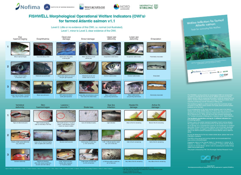 FISHWELL OWI Poster v1.1 - 044550 | PDF