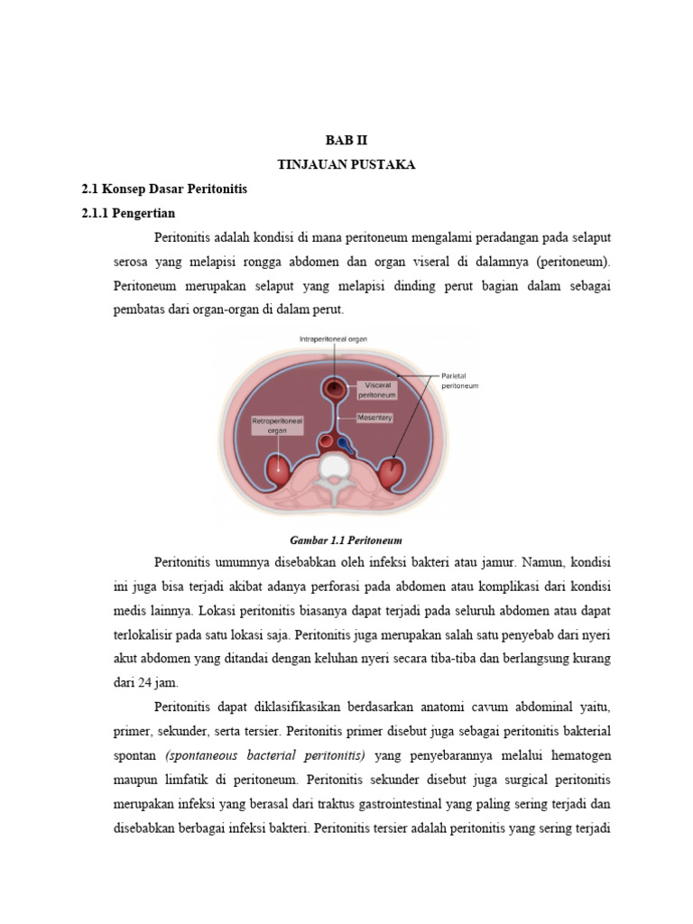 Panduan Lengkap Peritonitis: Gejala & Penanganan | PDF