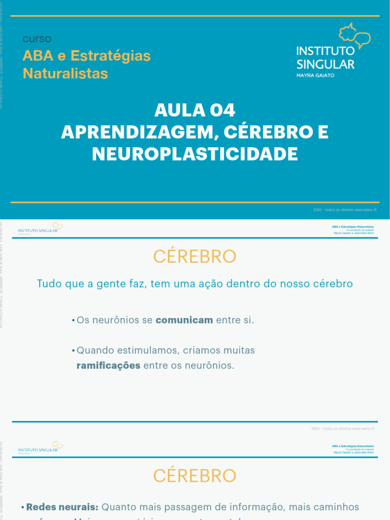 Slides Aula 04 | PDF | Neurônio | Cérebro